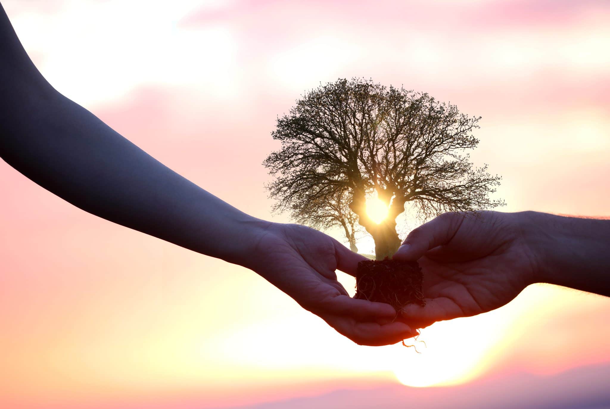 Histoire inspirante : médisance stérile