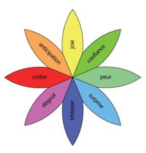 Quelles sont les huit émotions primaires